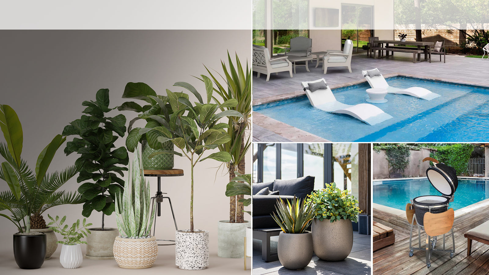 Acacia – Acacia Garden Center